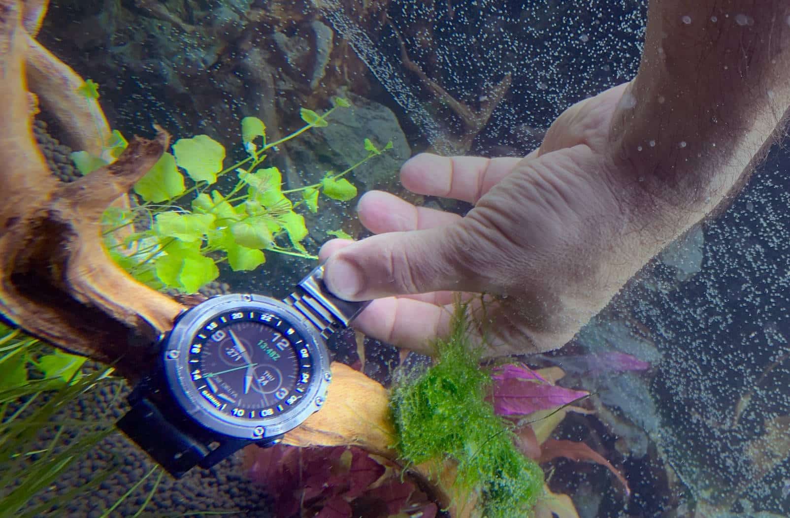 Swimming Watches - What Are They Really? - Superwatches