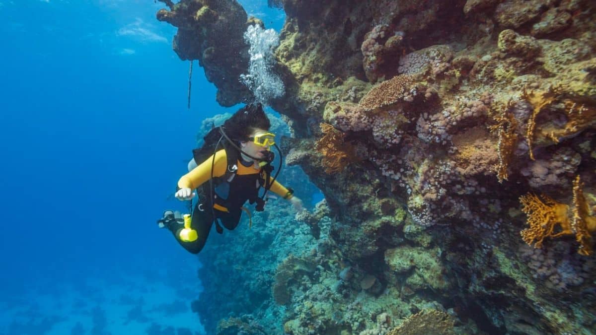 Basic Scuba Diving Equipment And Accessories - Superwatches