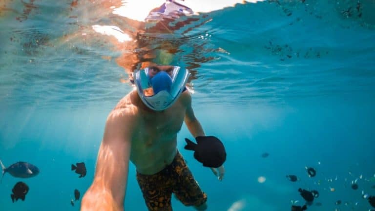 Everything You Need To Know About Scuba Diving - Superwatches