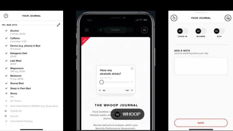 The Whoop Journal + Monthly and Weekly Assessment Breakdown