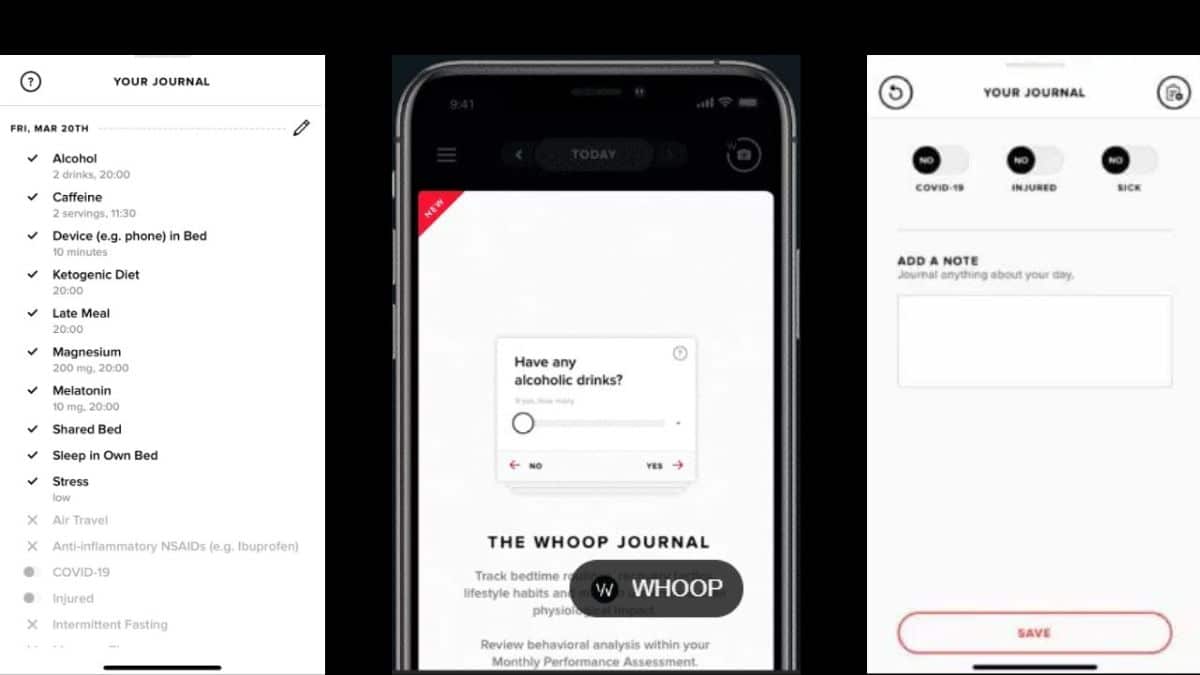 The Whoop Journal + Monthly and Weekly Assessment Breakdown
