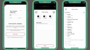 Whoop Daily Journal: How Serious Are You? - Superwatches